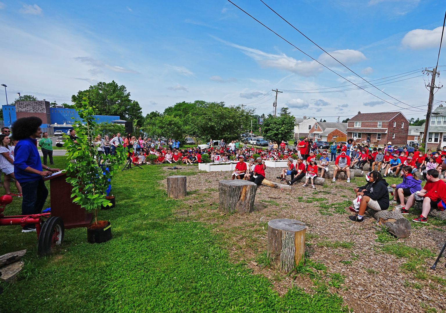 Tree Delivery to Fox Chase School | Philadelphia Phillies ...