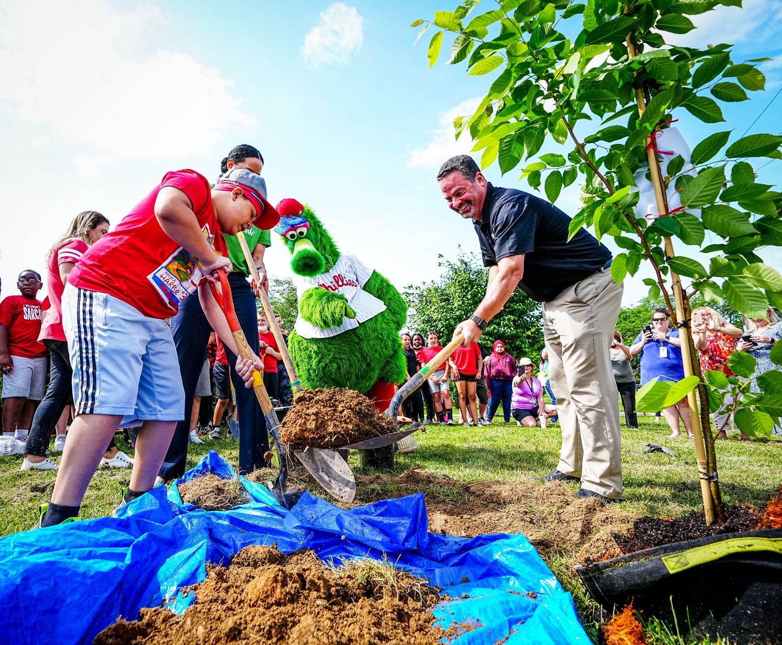 Tree Delivery to Fox Chase School | Philadelphia Phillies ...