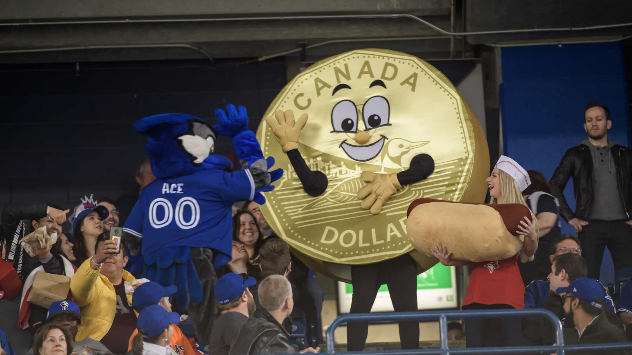 Loonie Dogs Night | Toronto Blue Jays