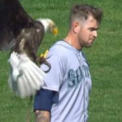 james paxton eagle