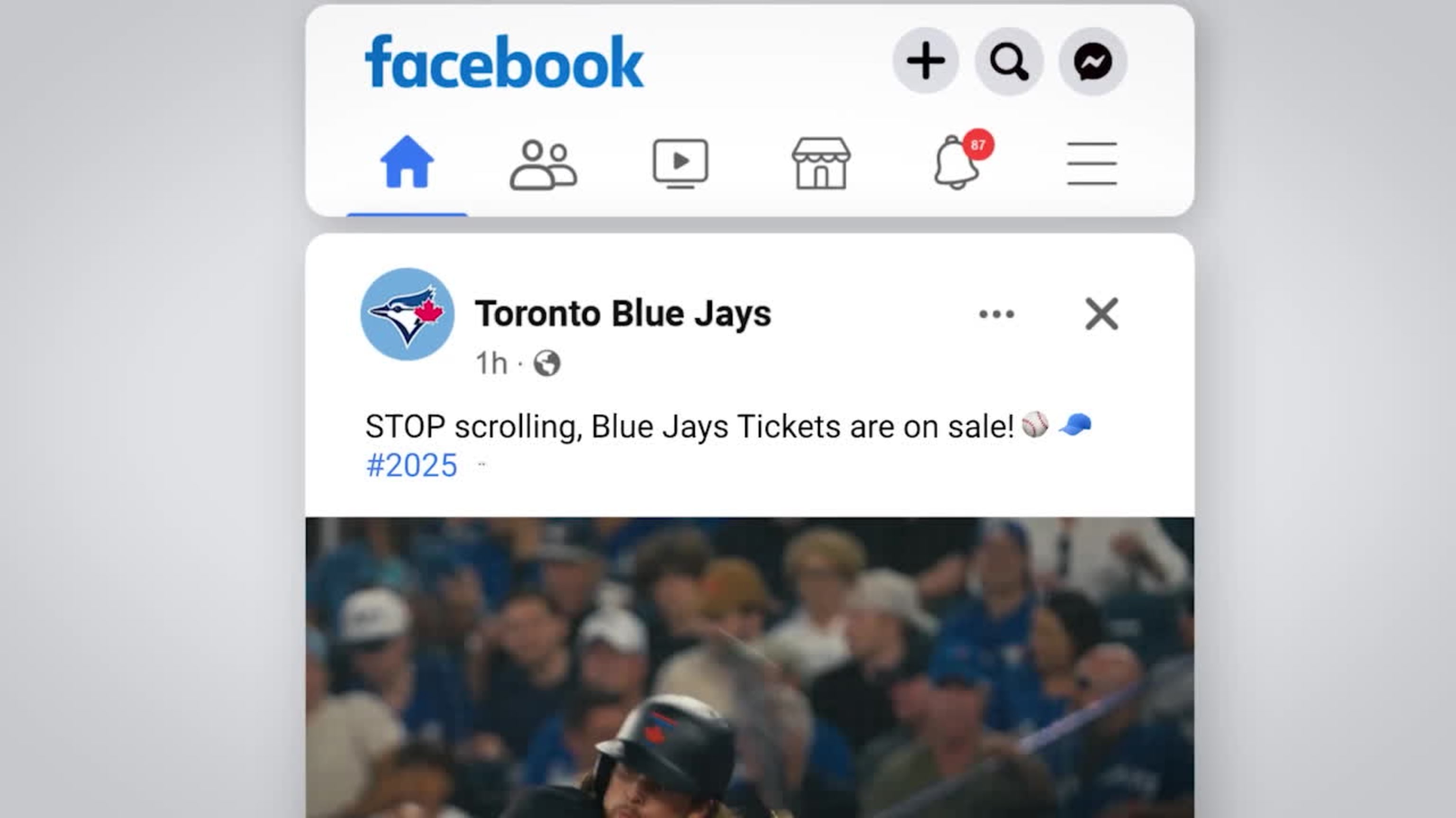 one blue jay schedule