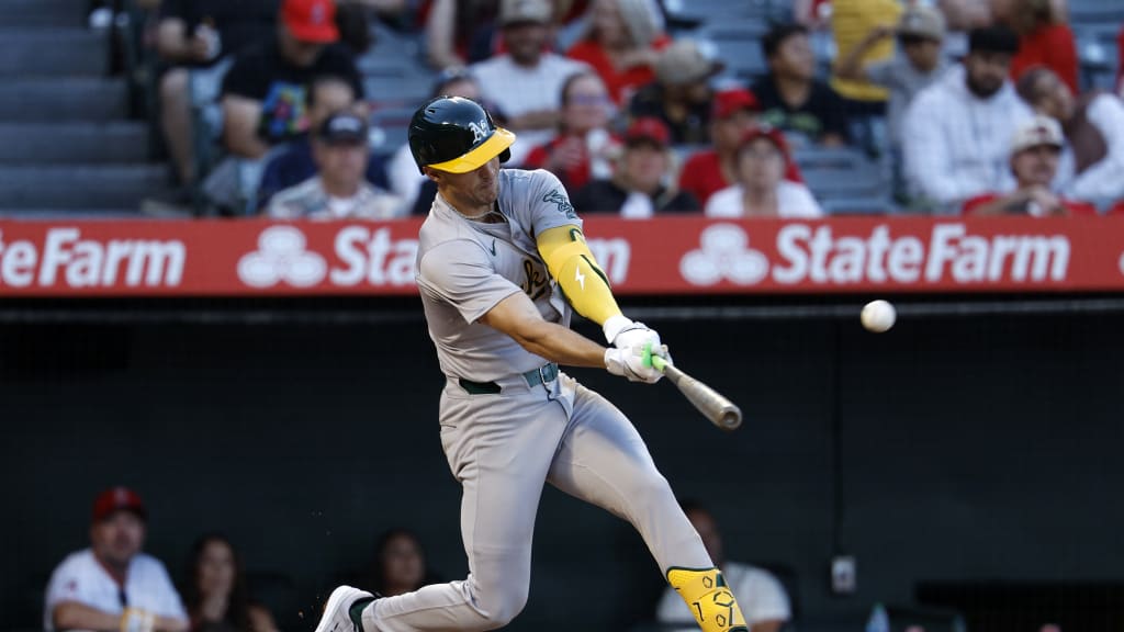 armando alvarez logo