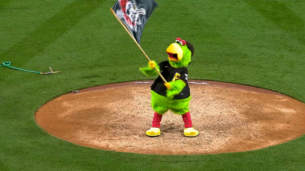 frog playing baseball