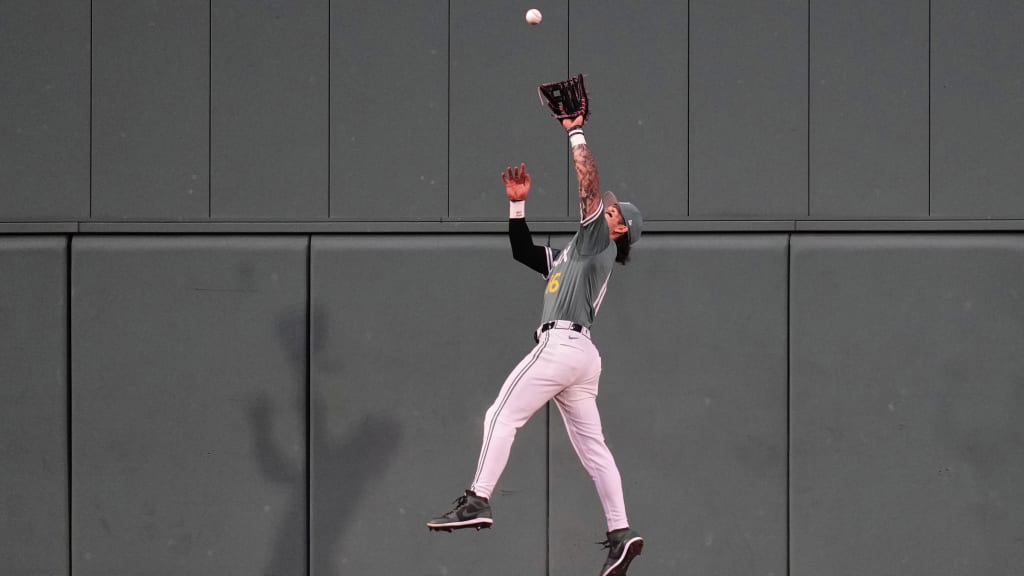 baseball insane catch
