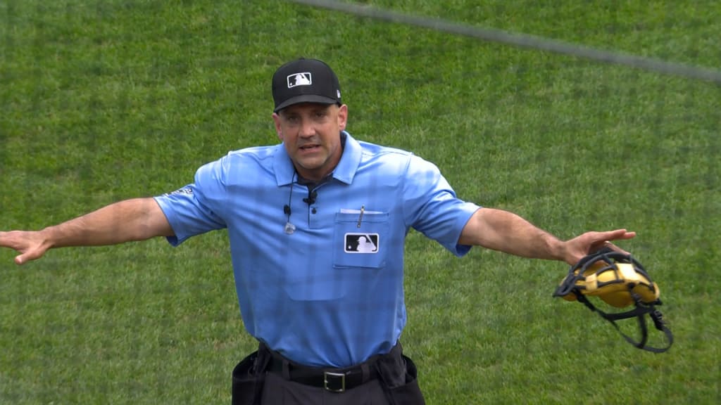 umpire safety
