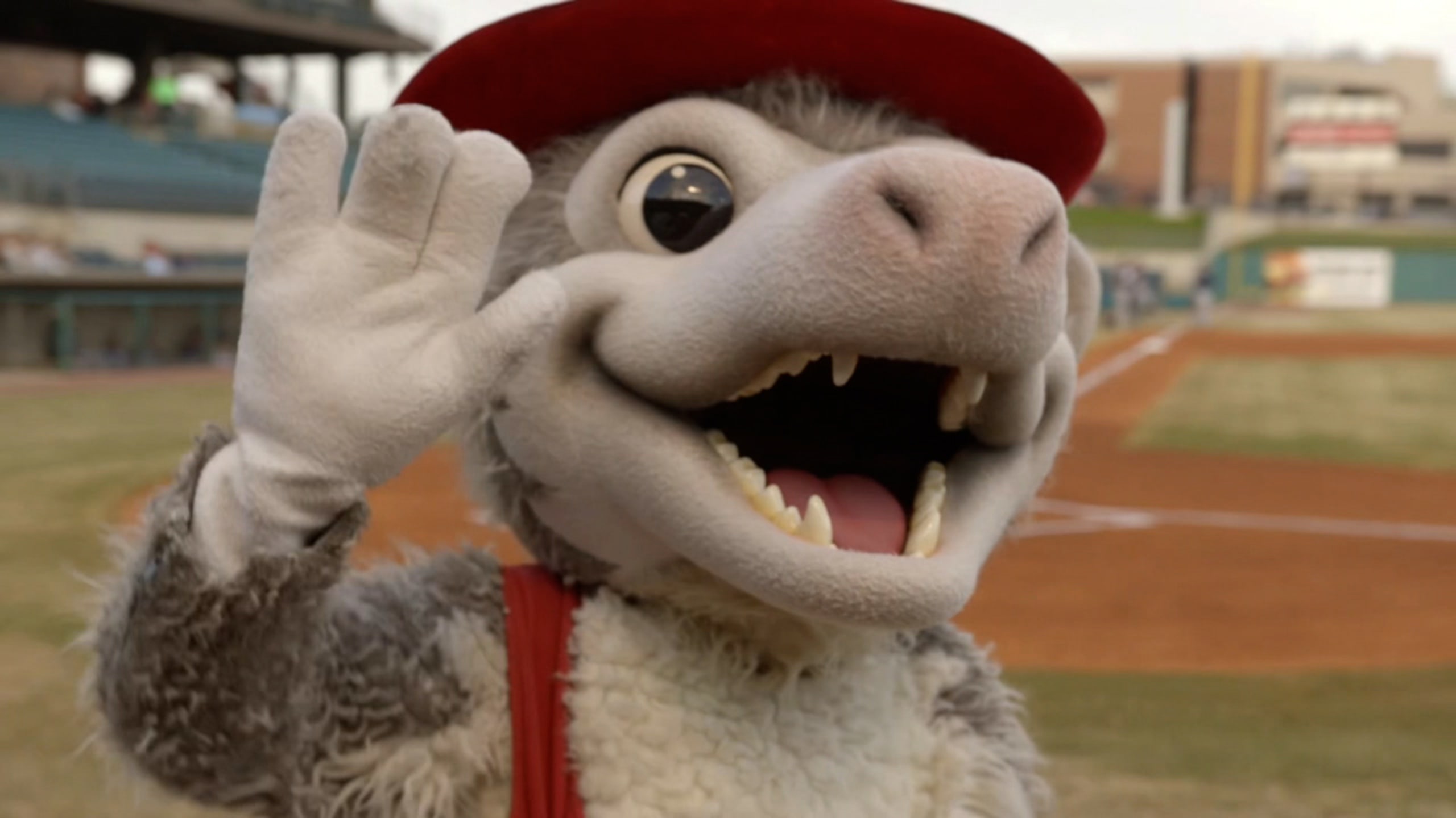 Zany Minor League mascots