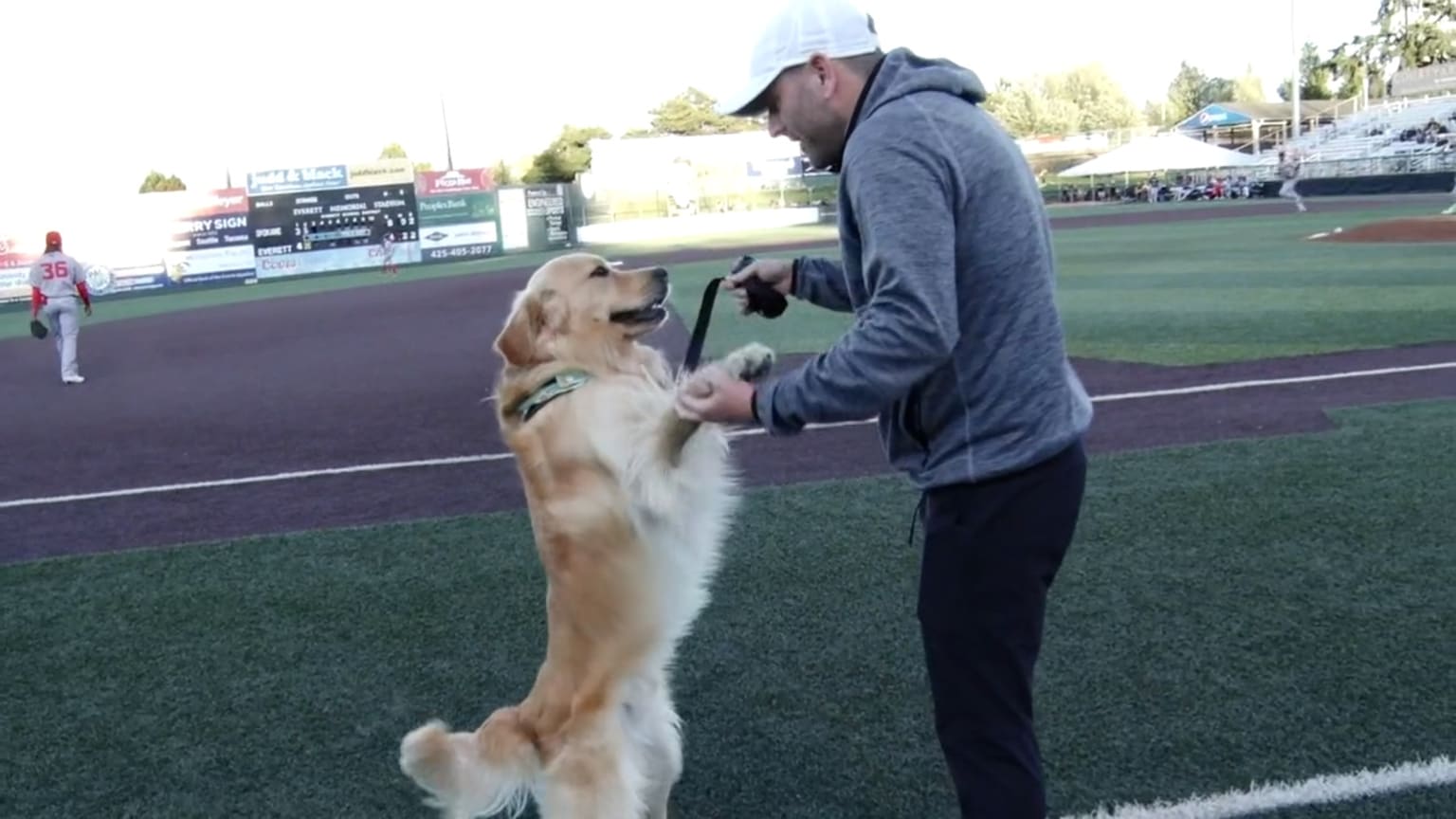Everett hosts a dog show | 08/02/2023 | MLB.com