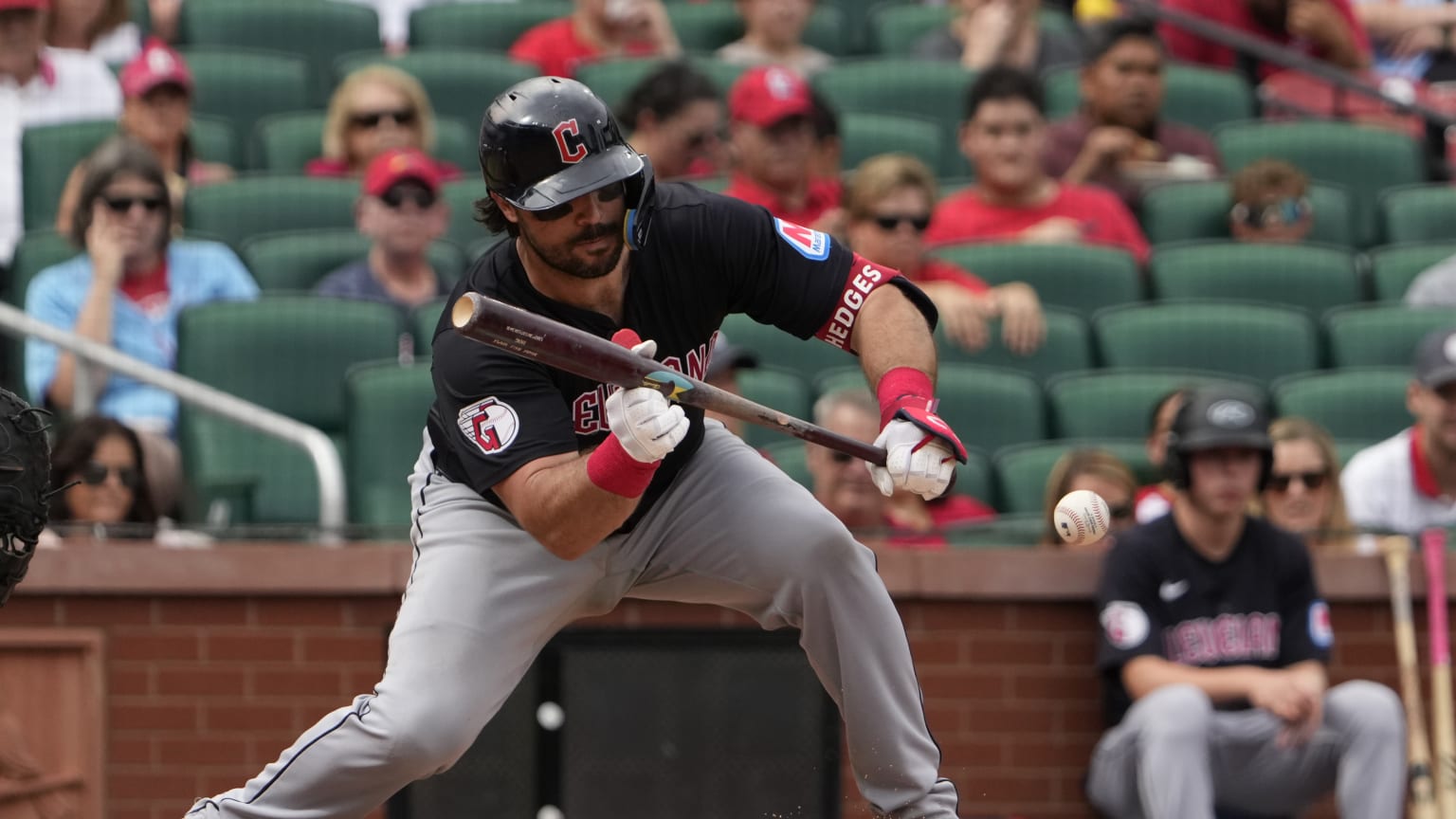 Austin Hedges' sac bunt | 09/22/2024 | Cleveland Guardians