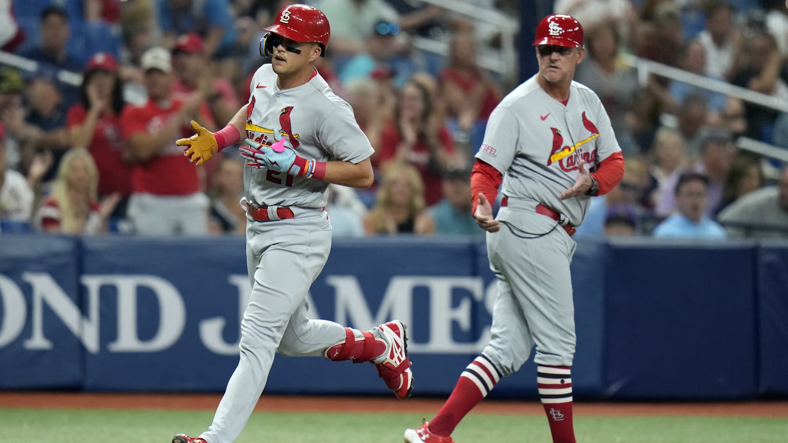 Cardinals, Rays - 08/09/2023 | Game Video Highlights | MLB Film Room ...