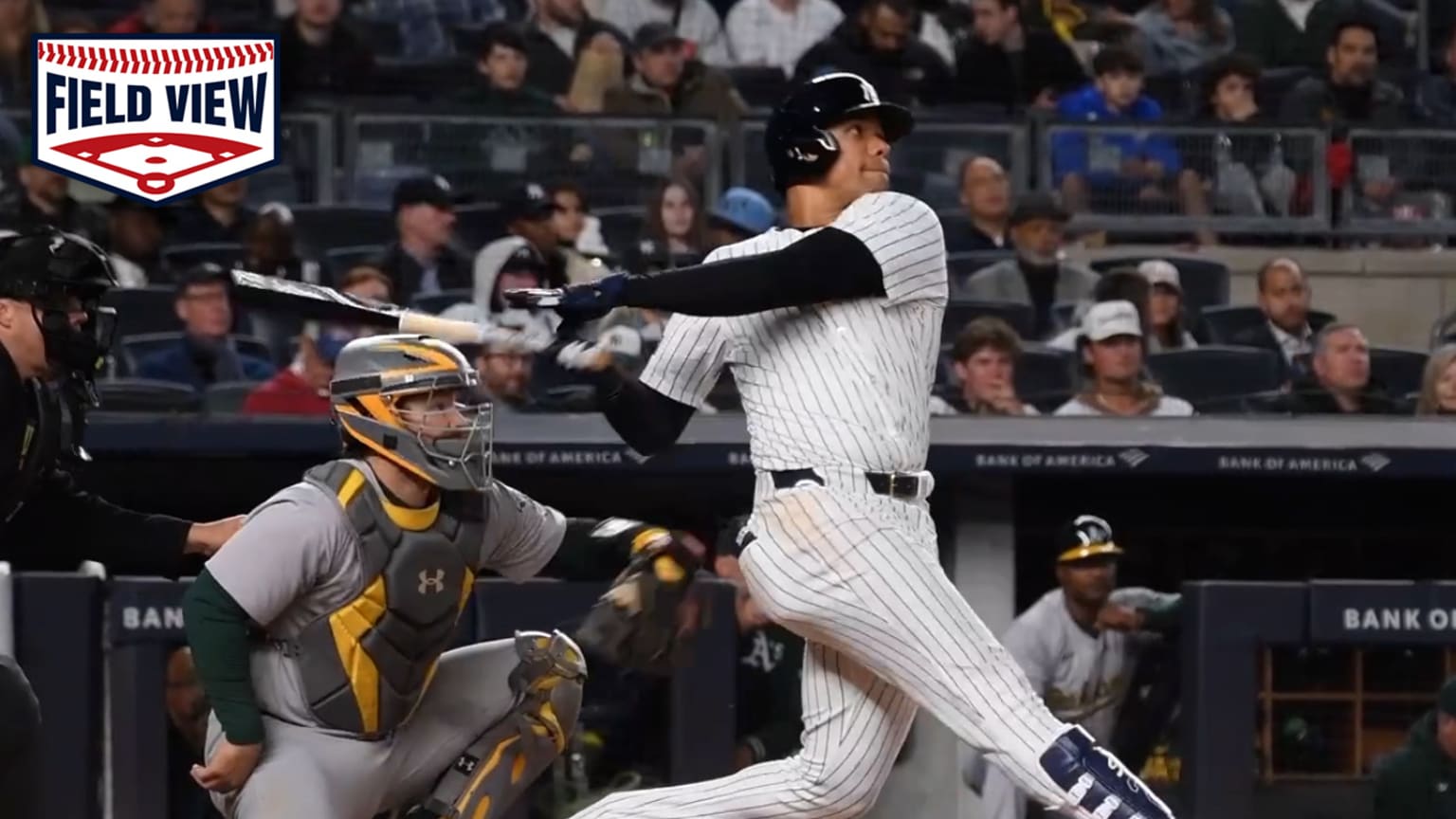 Field View: Juan Soto's solo home run | 04/24/2024 | New York Yankees