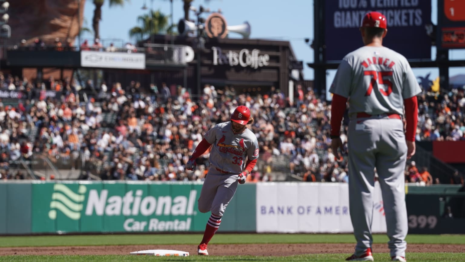 Brendan Donovan's solo home run (14) | 09/29/2024 | St. Louis Cardinals