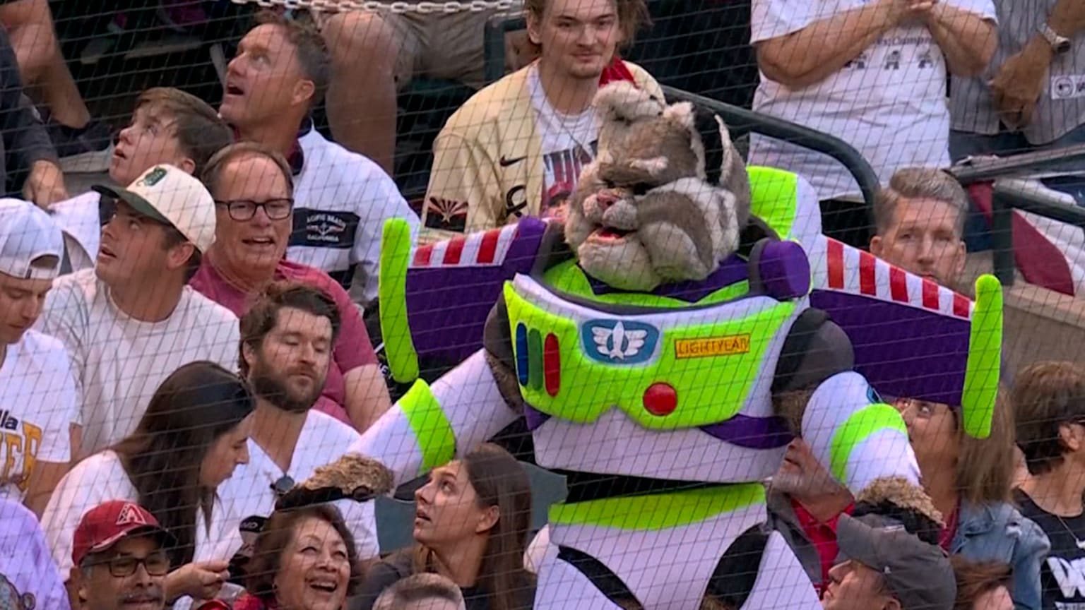 D-backs fans show off Halloween spirit during Game 4 | 10/31/2023 ...