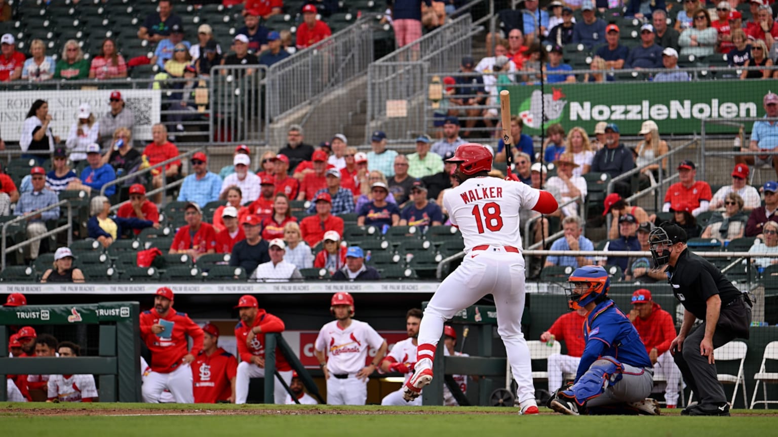 Jordan Walker's go-ahead double | 02/24/2025 | MLB.com
