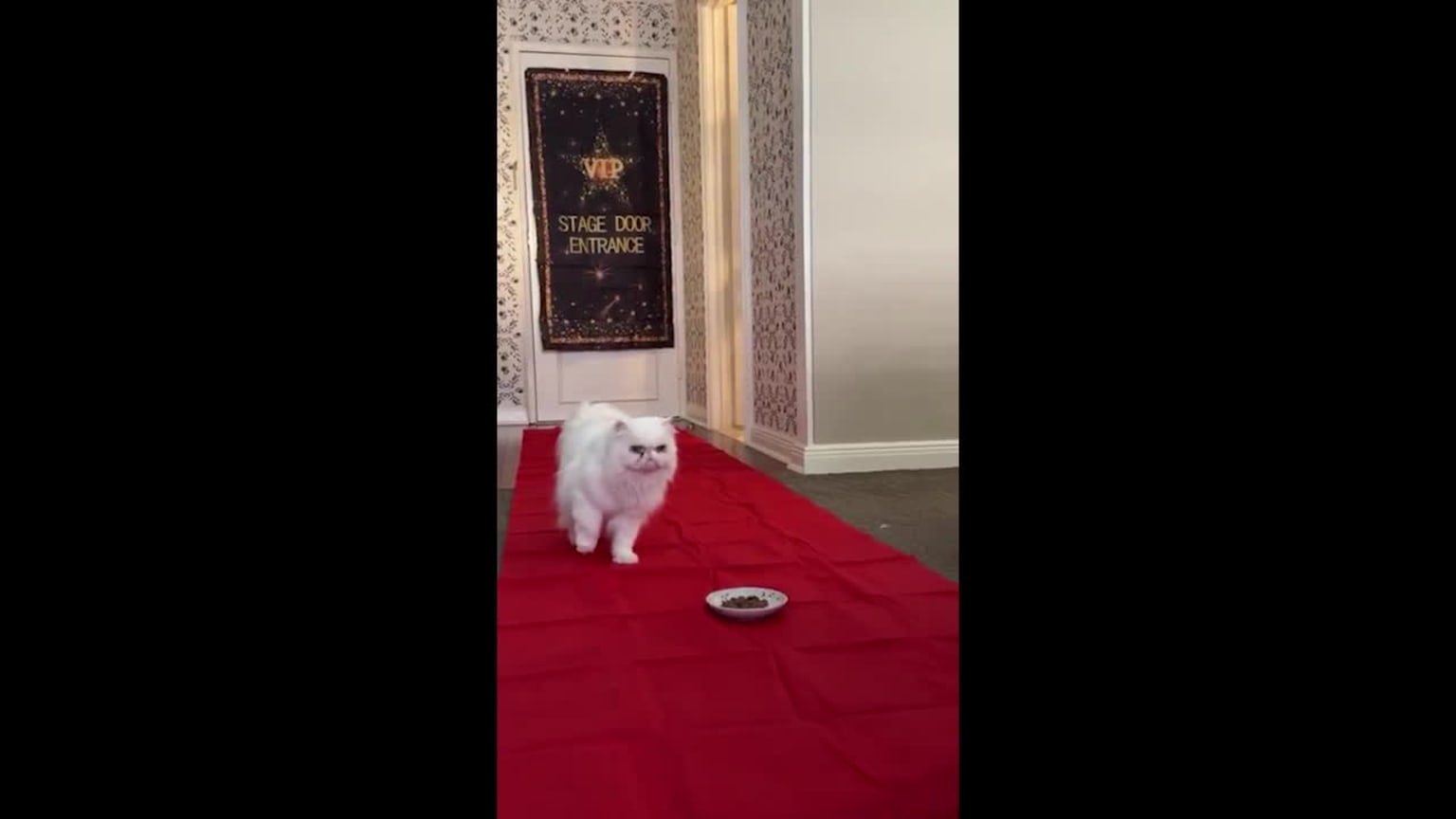 Matilda Muñoz joins the Red Carpet | 07/15/2025 | Seattle Mariners