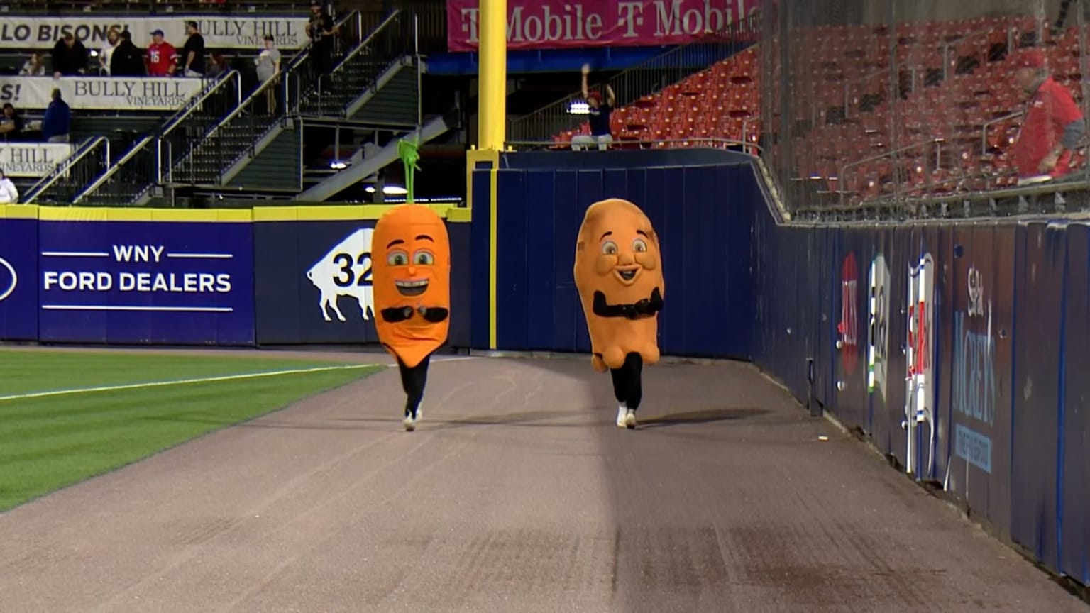 rays mascot race