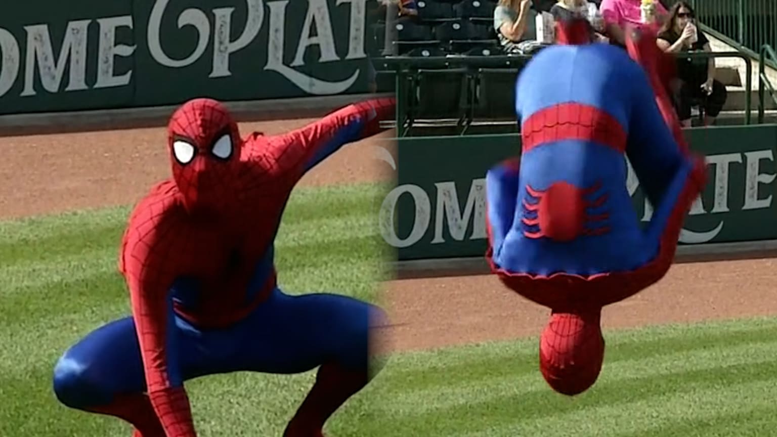 Spiderman does acrobatics on the field | 08/13/2023 | MLB.com