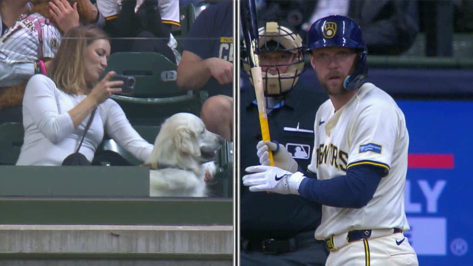 Rhys Hoskins brings his dog May to Bark in the Park | 05/09/2024 ...