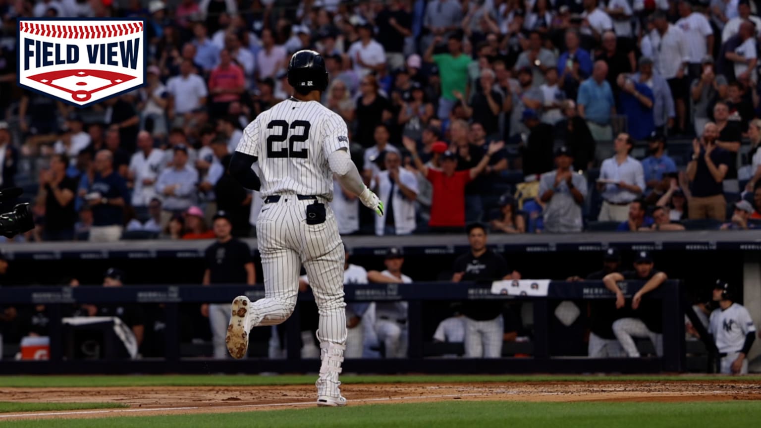 Field View: Juan Soto's 443-foot solo home run | 07/24/2024 | New York ...