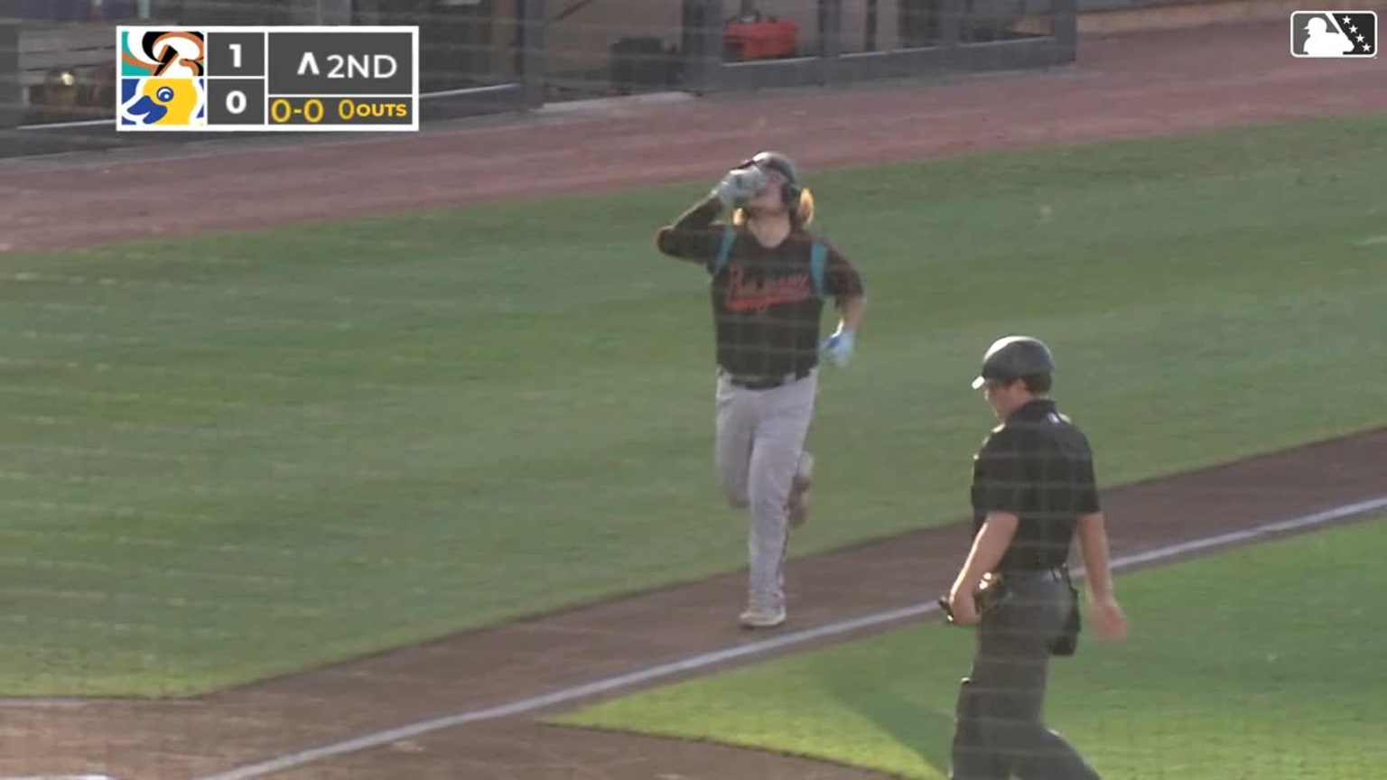 Creed Willems's 14th homer of the season | 08/28/2024 | Baltimore Orioles