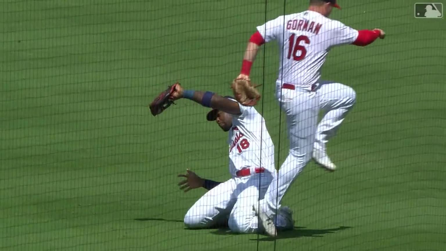 Jordan Walker hustles in to make a sliding catch | 08/06/2023 | MLB.com