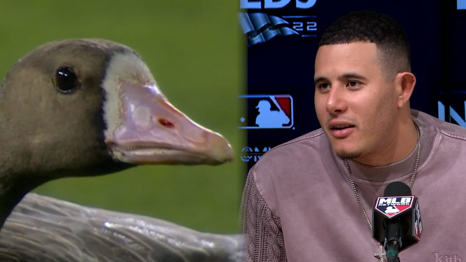 Manny Machado discusses goose on the loose in Game 2 | 10/12/2022 | San ...