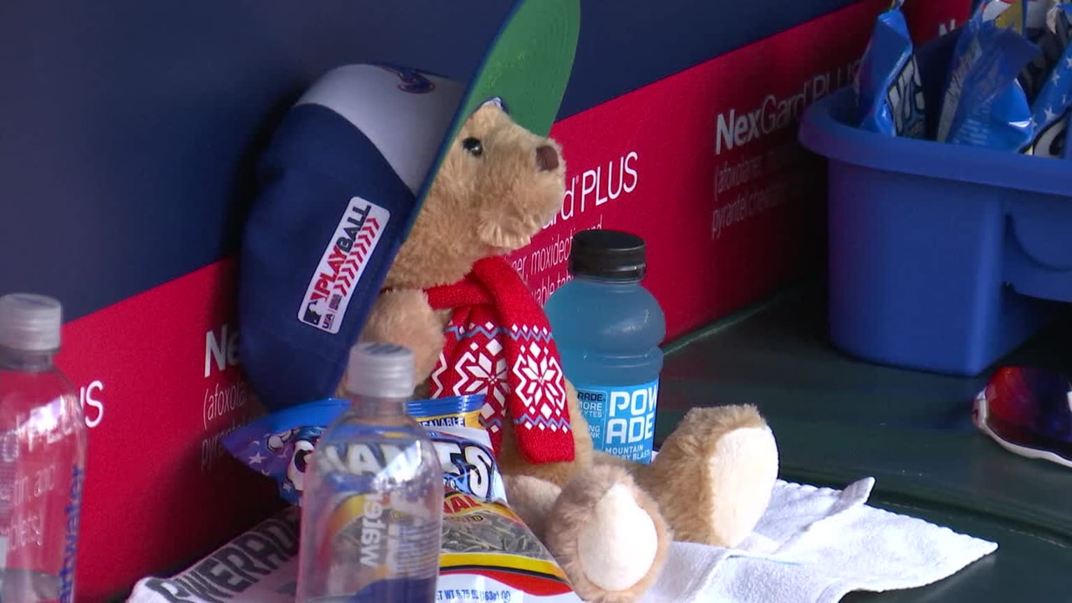 "Snitbear" gives the Braves good luck | 06/16/2024 | Atlanta Braves