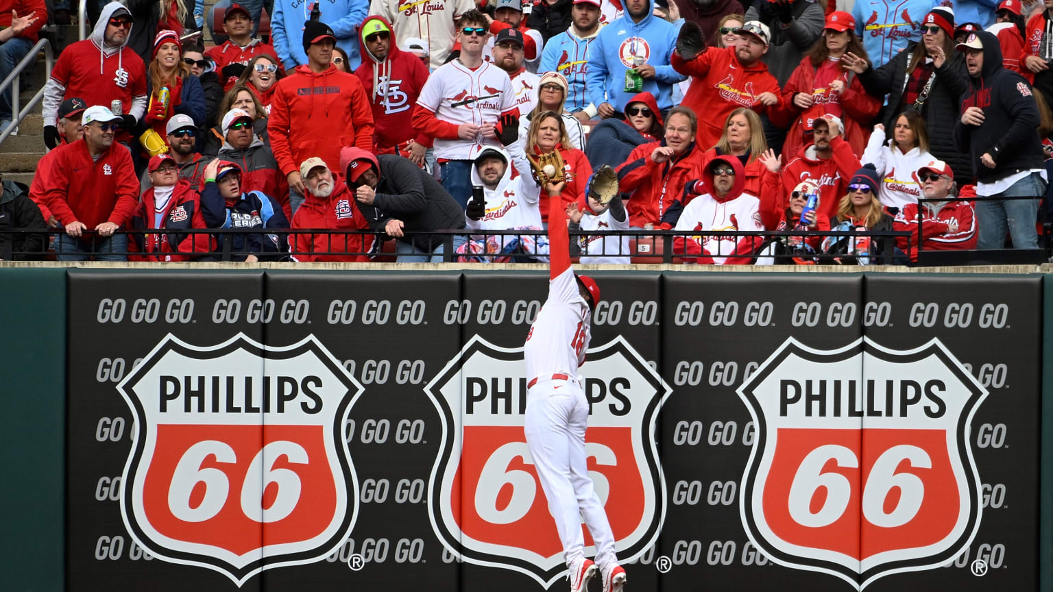 Jordan Walker's jumping catch | 04/04/2024 | MLB.com