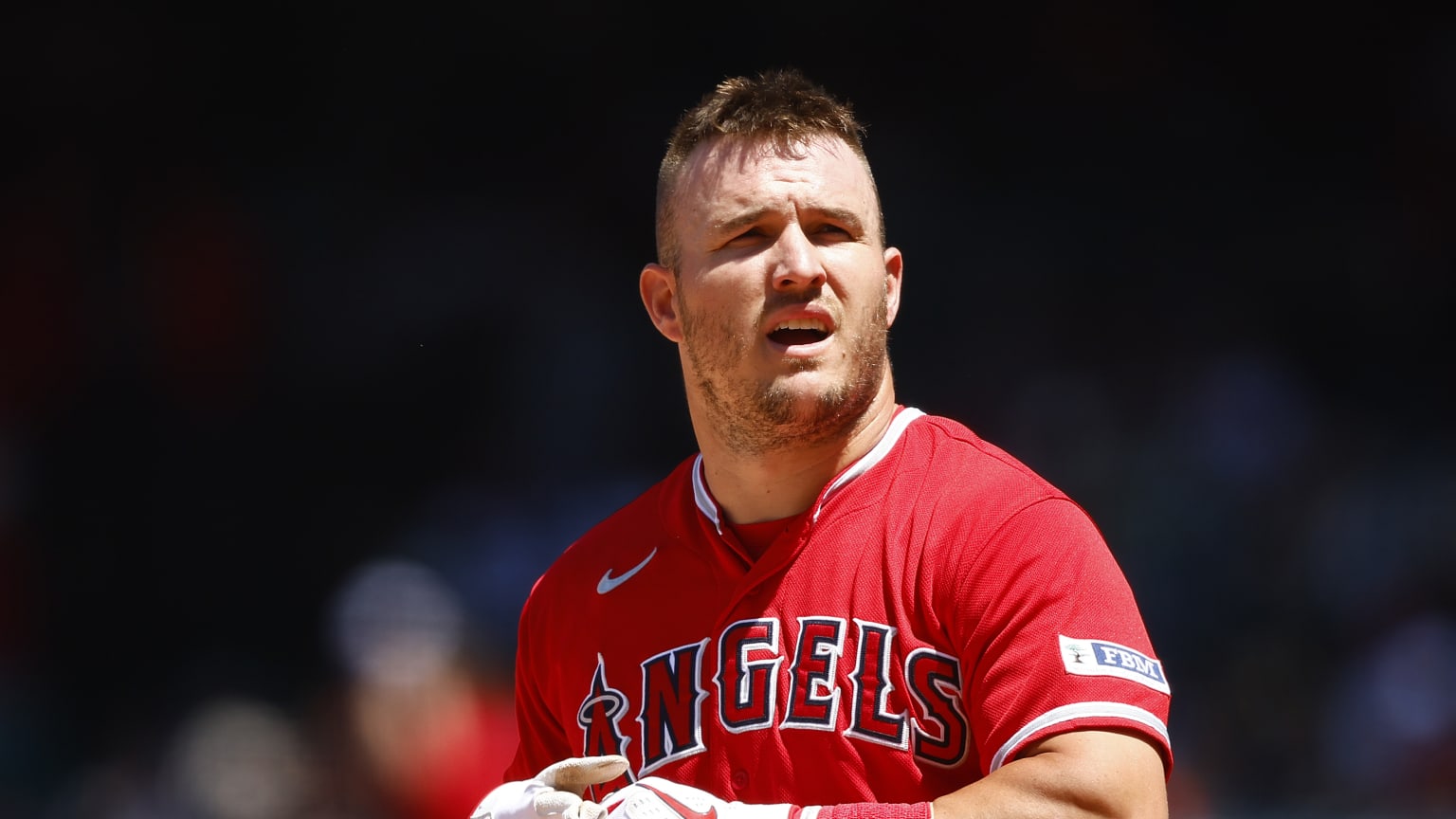 2023 Highlight: Mike Trout | 11/14/2023 | MLB.com