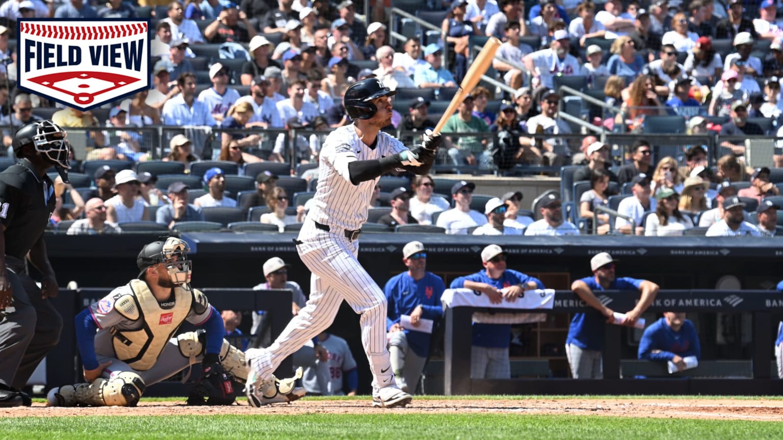 Field View: Cody Bellinger's solo home run | 05/17/2025 | New York Yankees