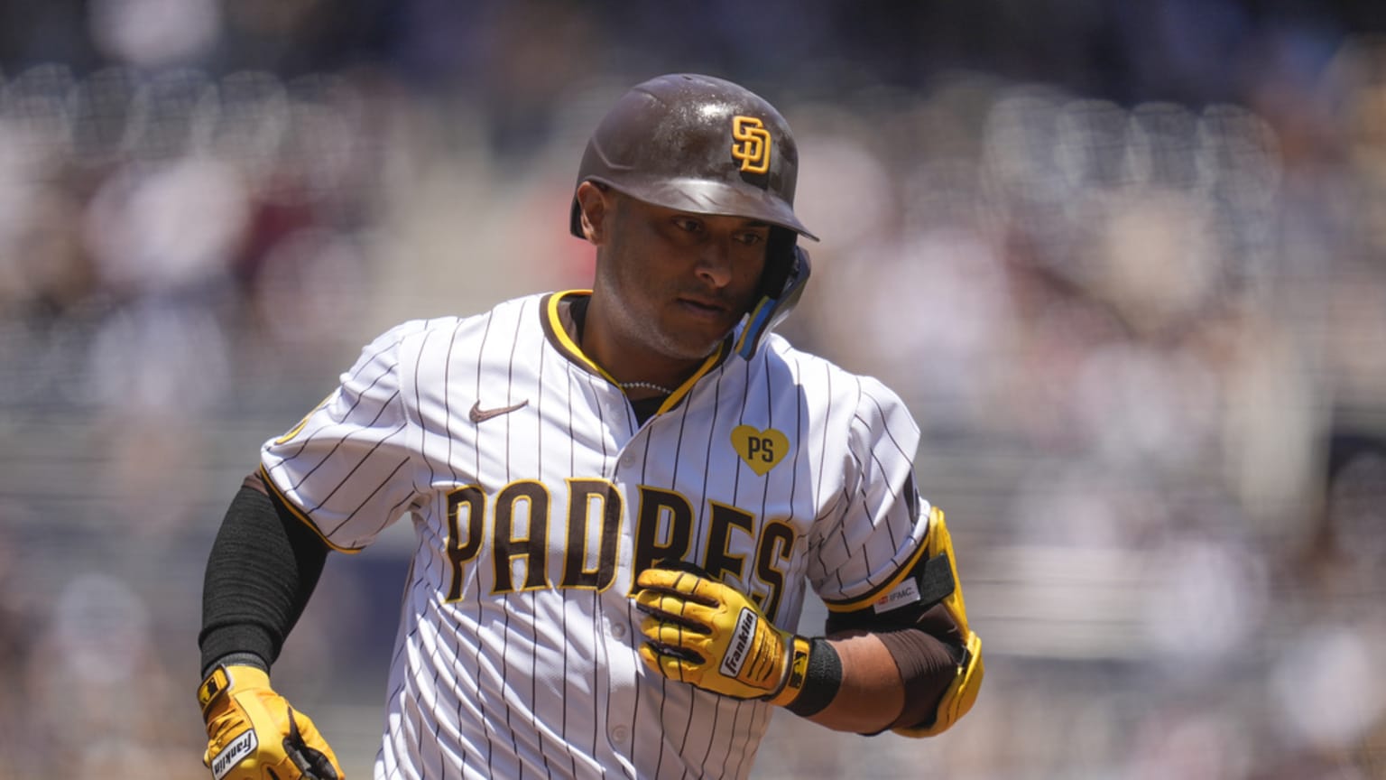 Donovan Solano's solo home run (2) | 06/12/2024 | San Diego Padres