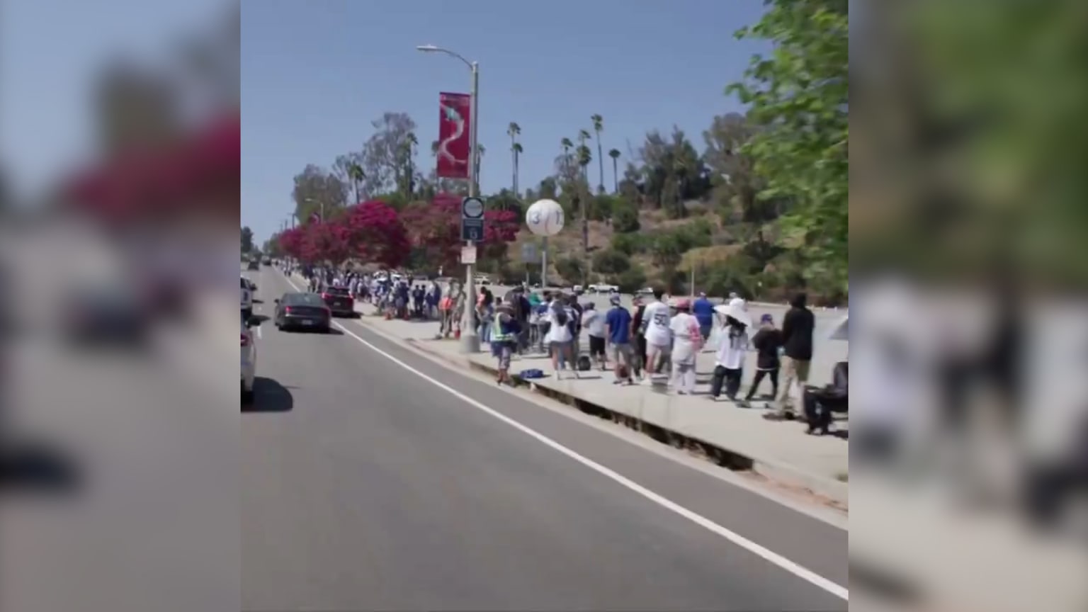 Dodgers fans wait in line for Ohtani bobbleheads | 08/28/2024 | MLB.com