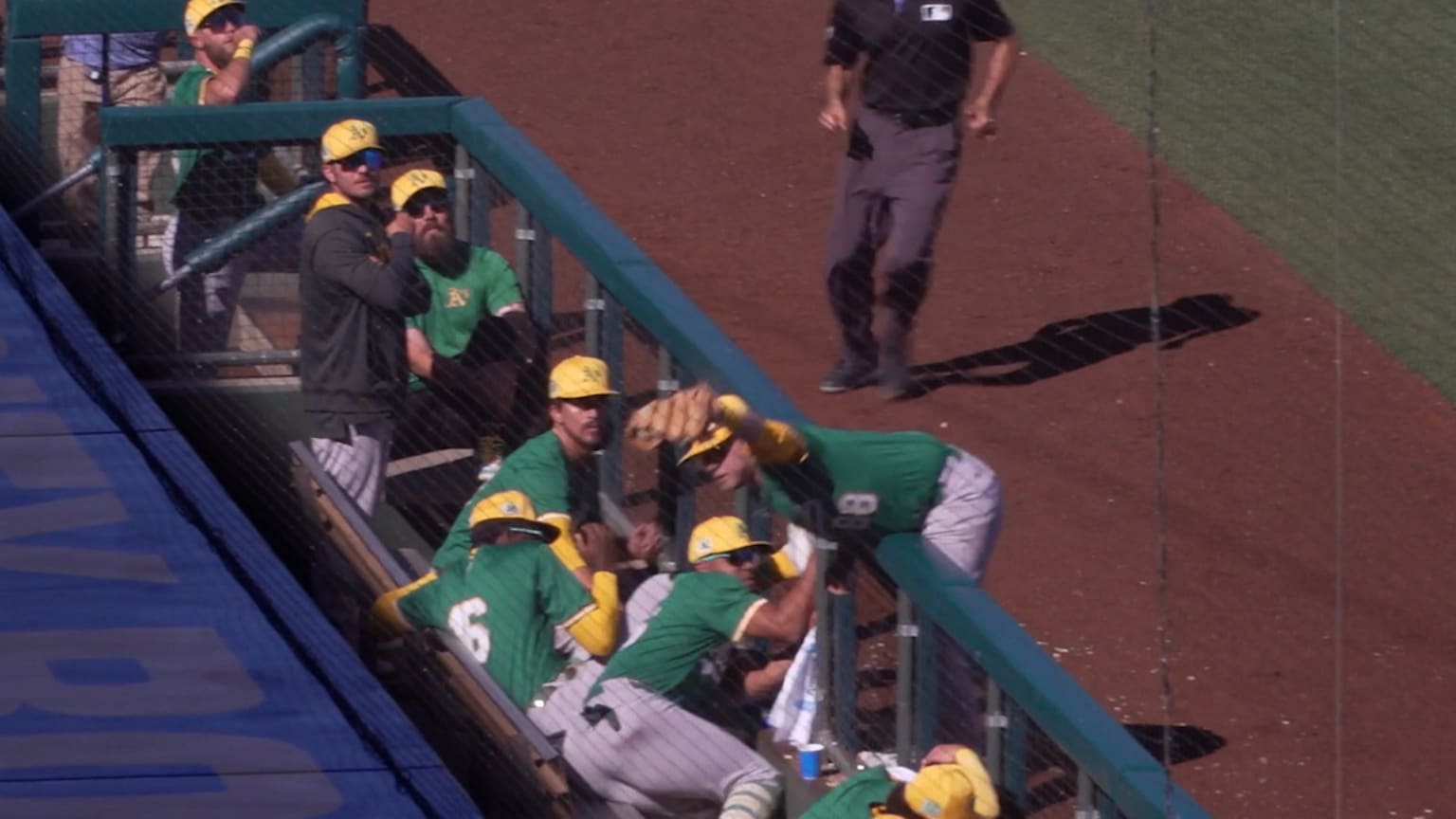 Luke Mann's over-the-railing catch | 03/04/2025 | MLB.com