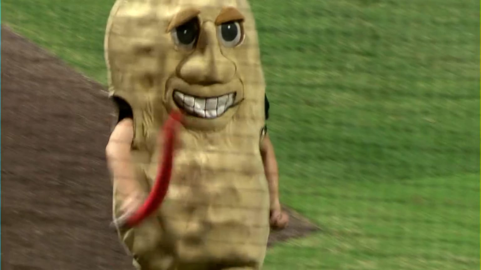 Nut mascots race in between innings in Richmond | 09/20/2023 | MLB.com