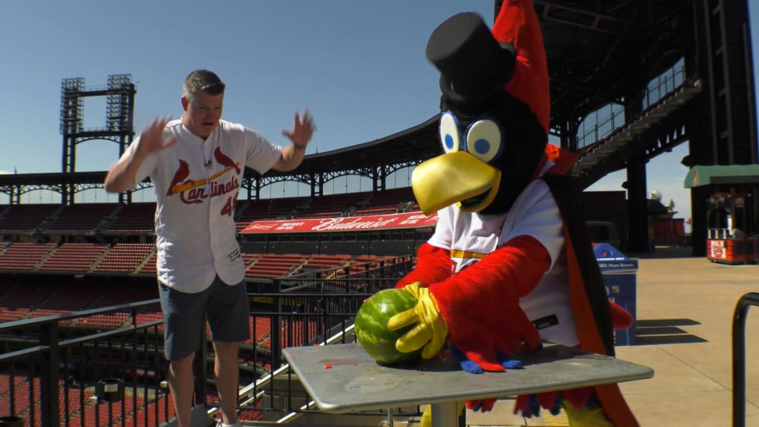 Fredbird does his magic tricks! | 09/13/2022 | St. Louis Cardinals