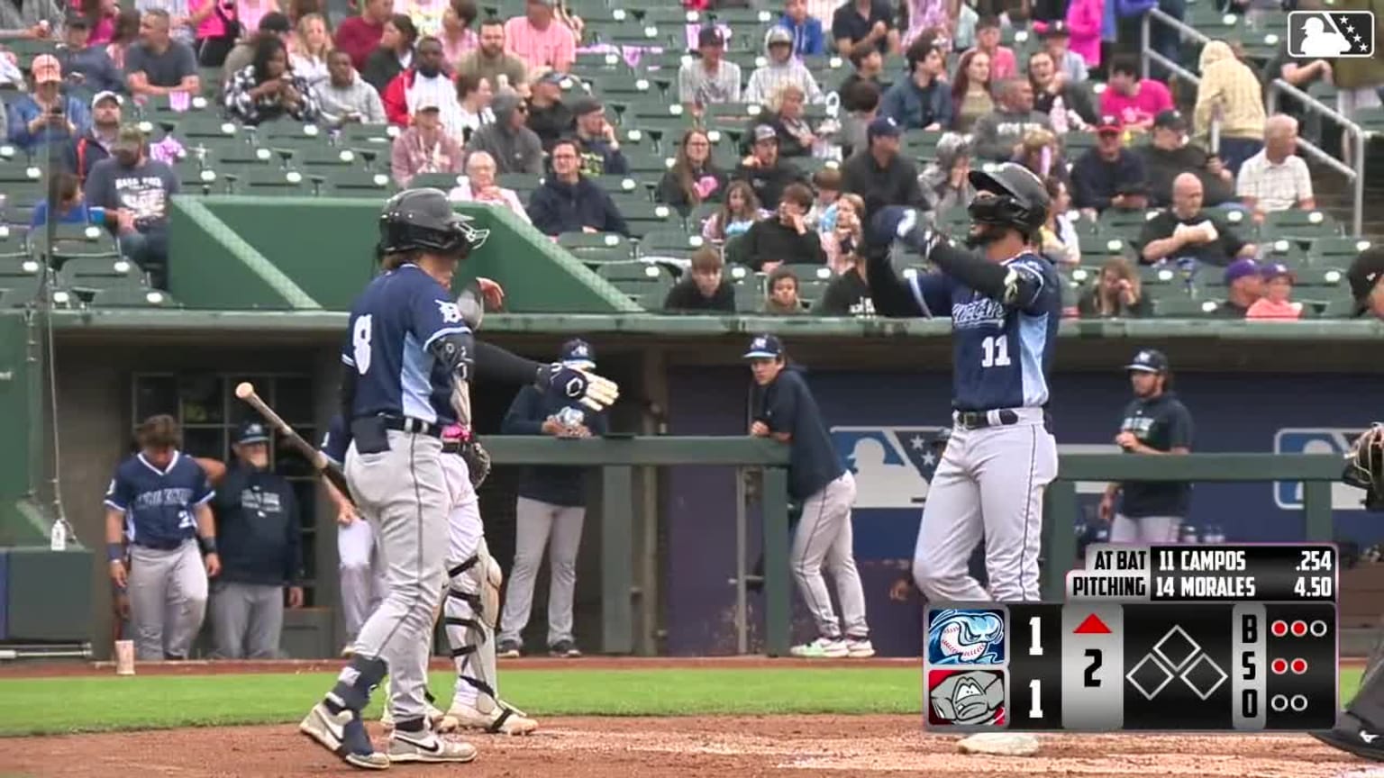 Roberto Campos' solo homer | 06/29/2024 | Detroit Tigers
