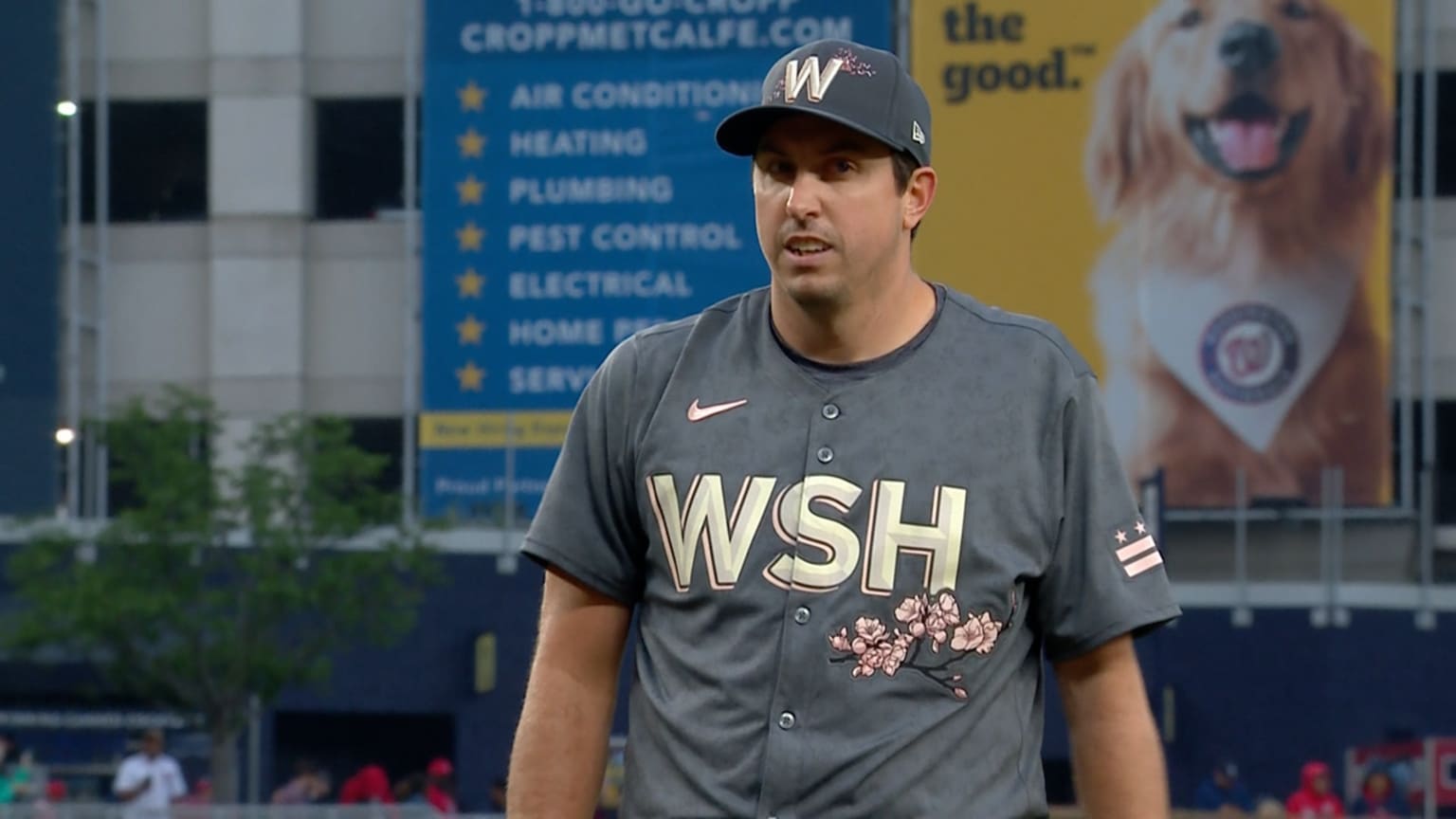 Derek Law fans Isiah Kiner-Falefa, avoids trouble | 05/04/2024 ...