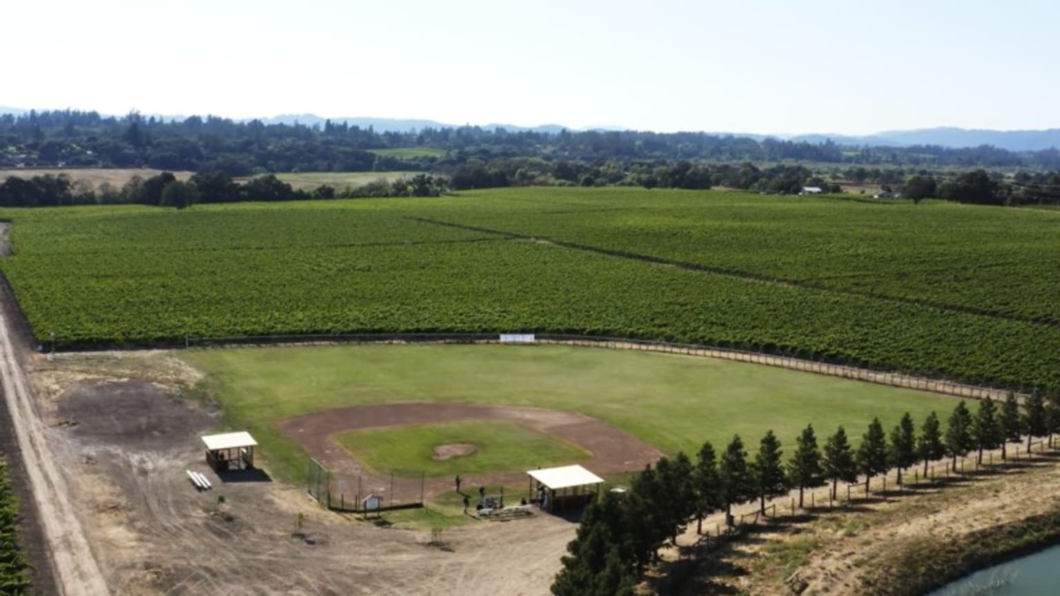 Wine & baseball's symphonic blend | 09/14/2023 | MLB.com