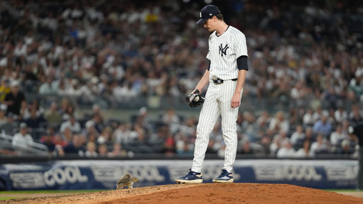 A squirrel takes the field at Yankee Stadium | 08/22/2025 | New York ...