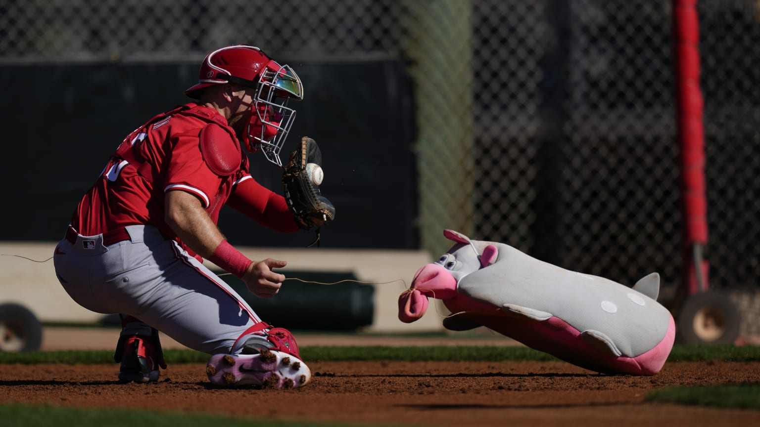 Reds use stuffed animals for catcher drills | 02/20/2024 | Cincinnati Reds