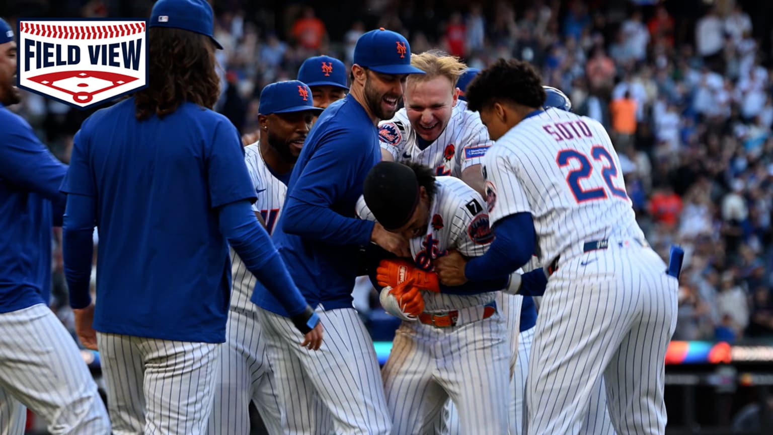 Field View: Francisco Lindor's walk-off sac fly | 05/26/2025 | New York ...