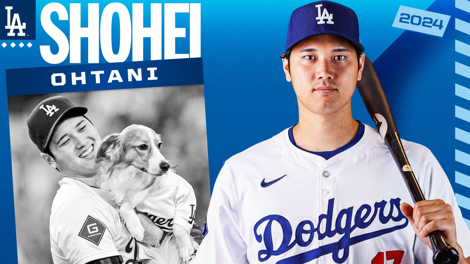 Shohei Ohtani's best highlights of 2024 | 11/02/2024 | Los Angeles Dodgers