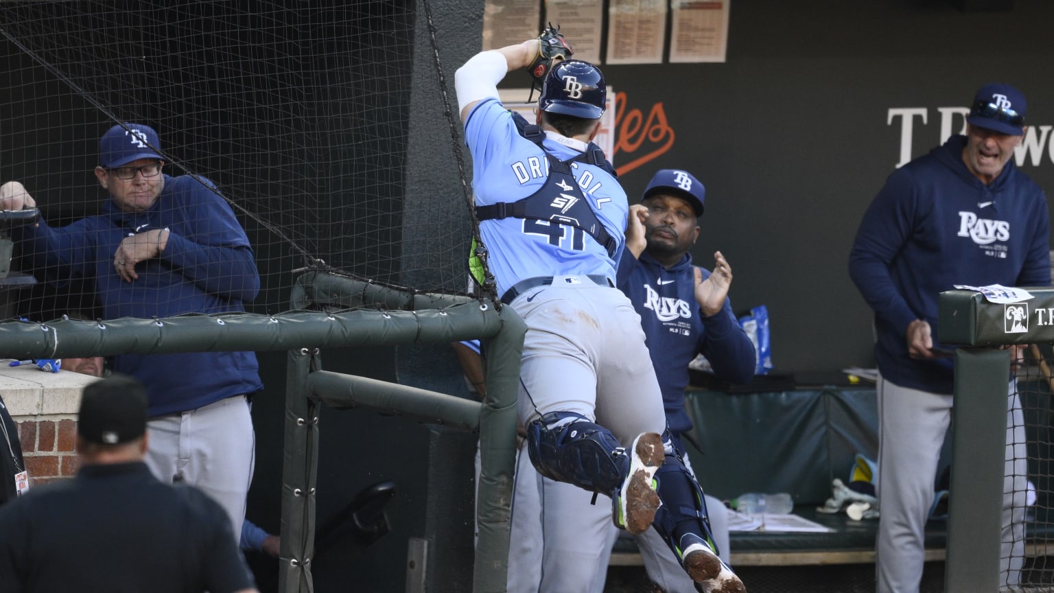Logan Driscoll's great catch falling into the dugout | 09/07/2024 ...