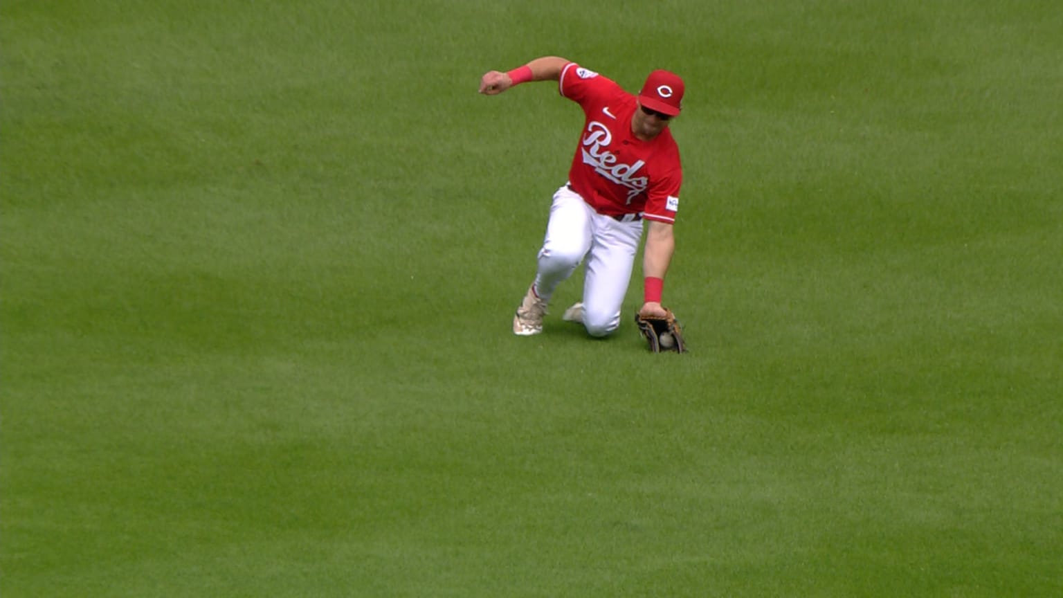 Steer captura línea de Riley tras sentencia revertida | 24/06/2023 ...