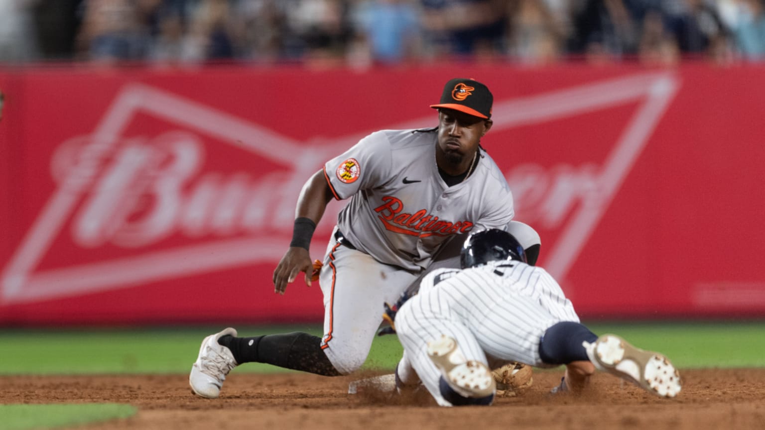 Adley Rutschman nabs Oswaldo Cabrera after review | 06/19/2024 ...