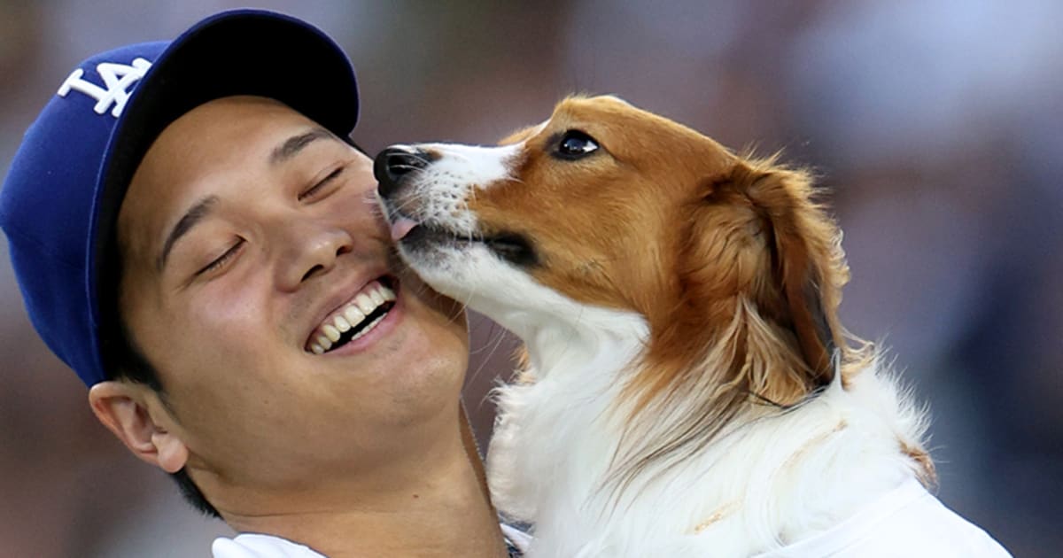 Shohei Ohtani's Fun Moments - MLB Stories