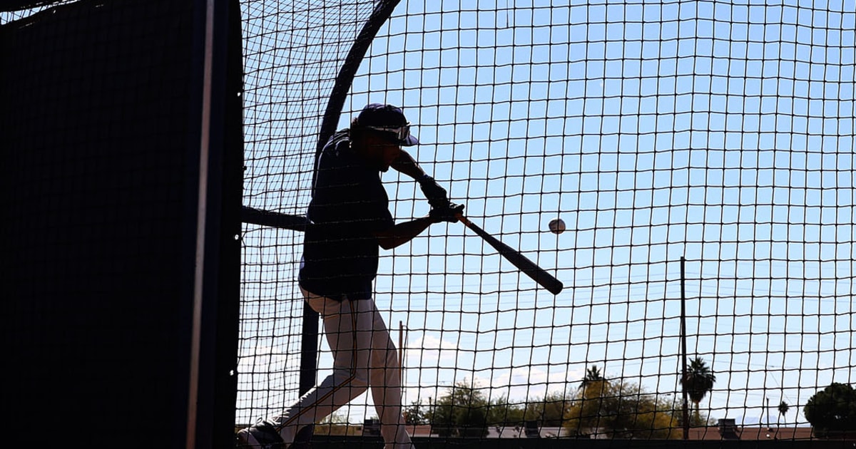 Spring Training highlights 2024 - MLB Stories