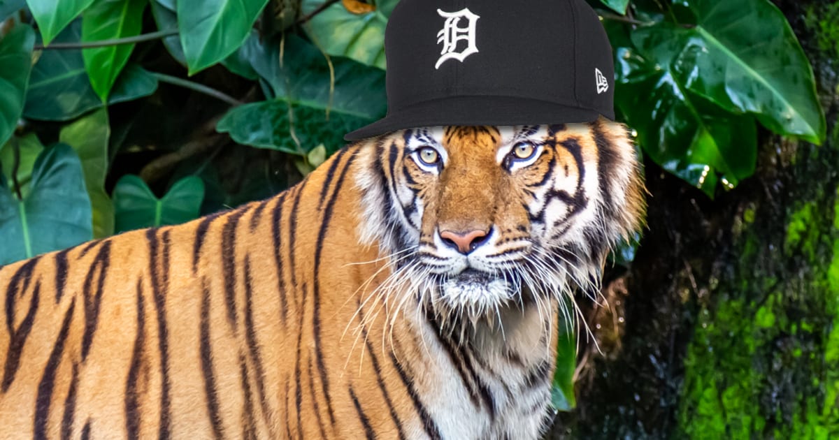 Baseball Player Name Game: Zoo Animals - MLB Stories