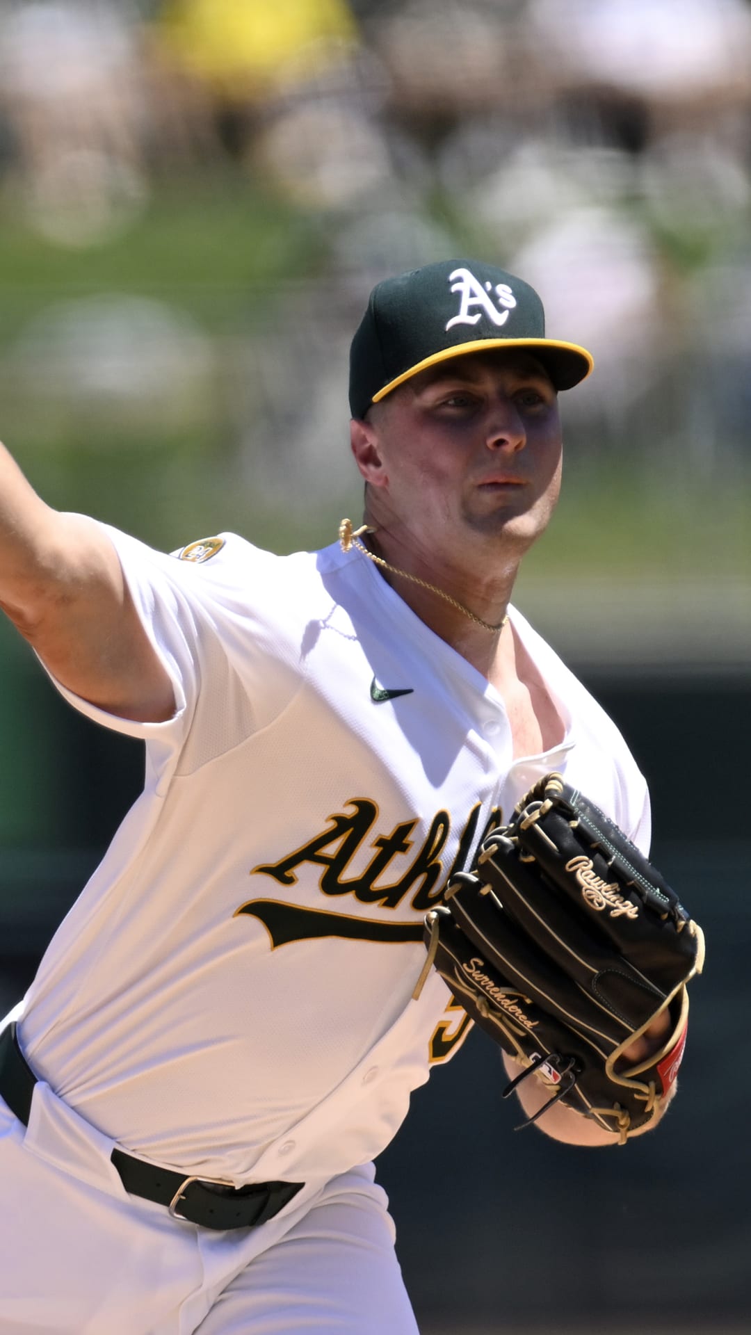 Jack Perkins Baseball