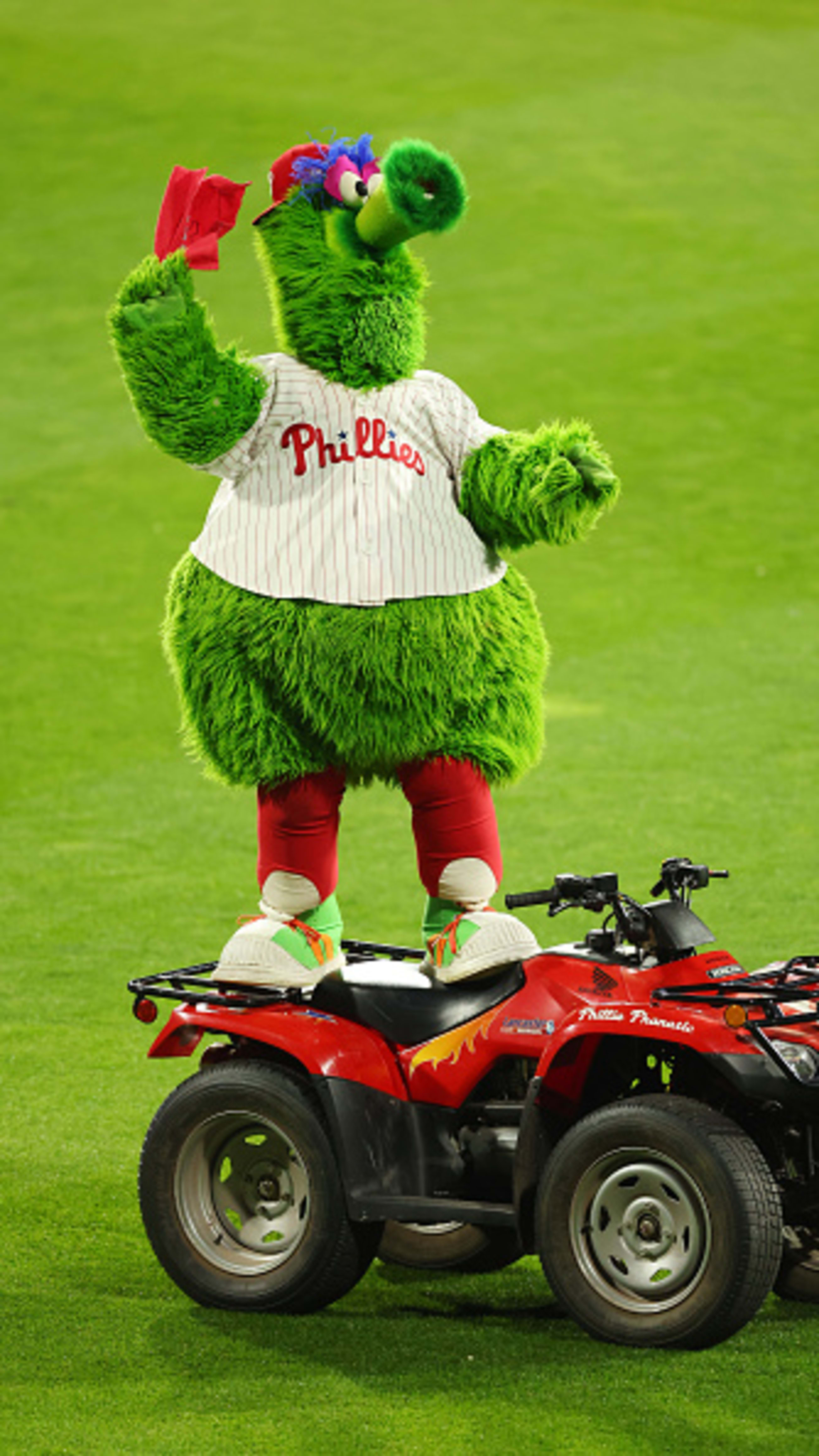 phanatic wallpaper