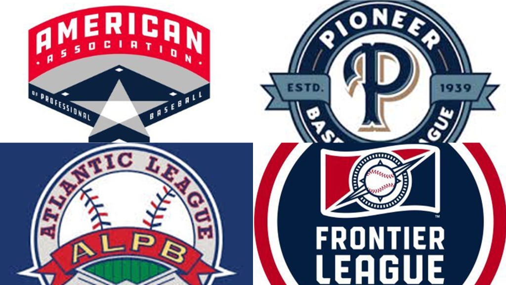 MLB's Partner Leagues 2024 championship winners